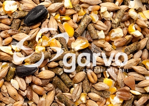 Poultry Treats – Charlotte's Chickens
