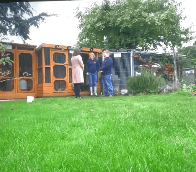 TV Filming – (ITV & RTL News) Chicken Keeping/Hen Hotels – Charlotte's ...